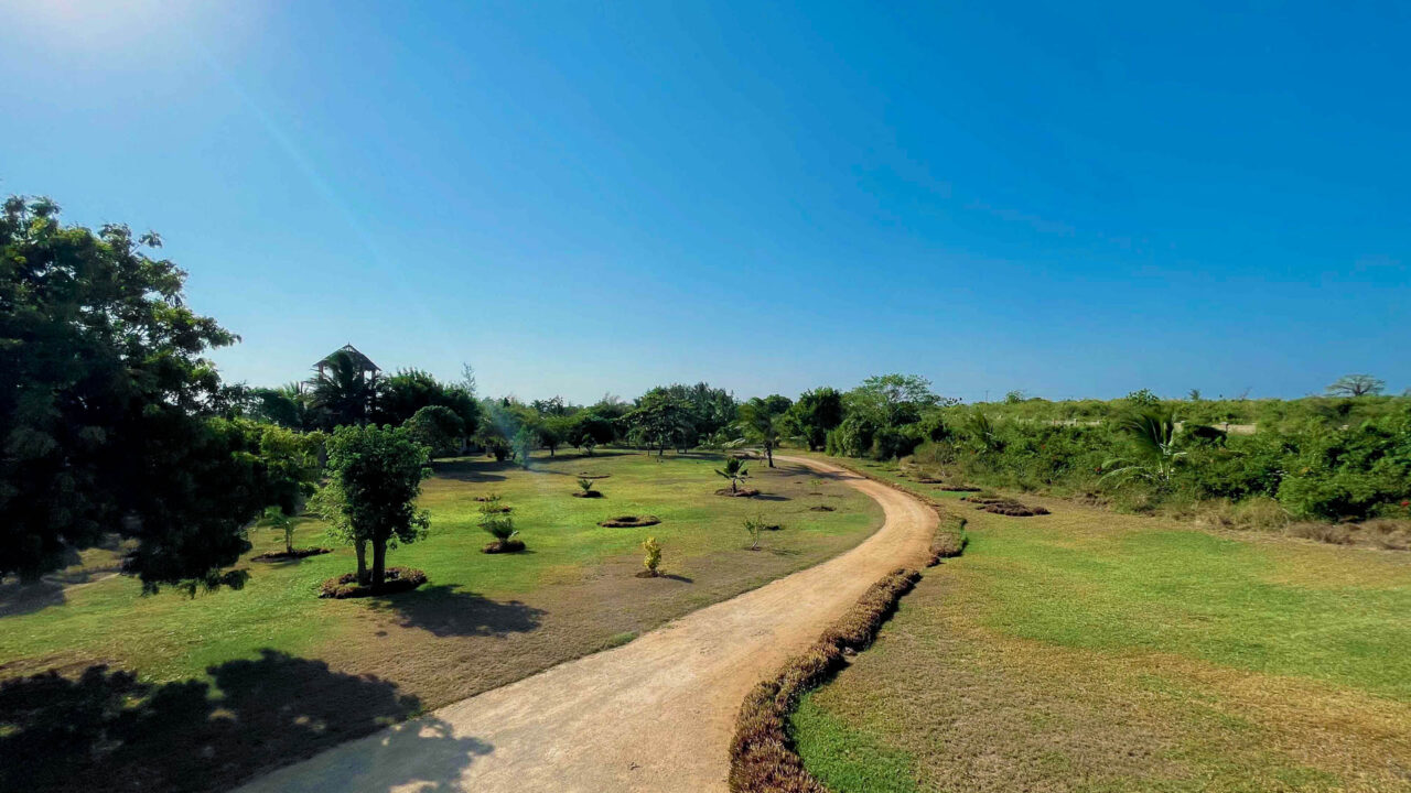 Shamba La Salama | Your Home Away from Home