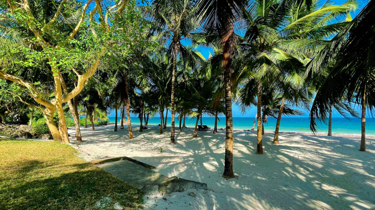 Shamba La Salama | Your Home Away from Home